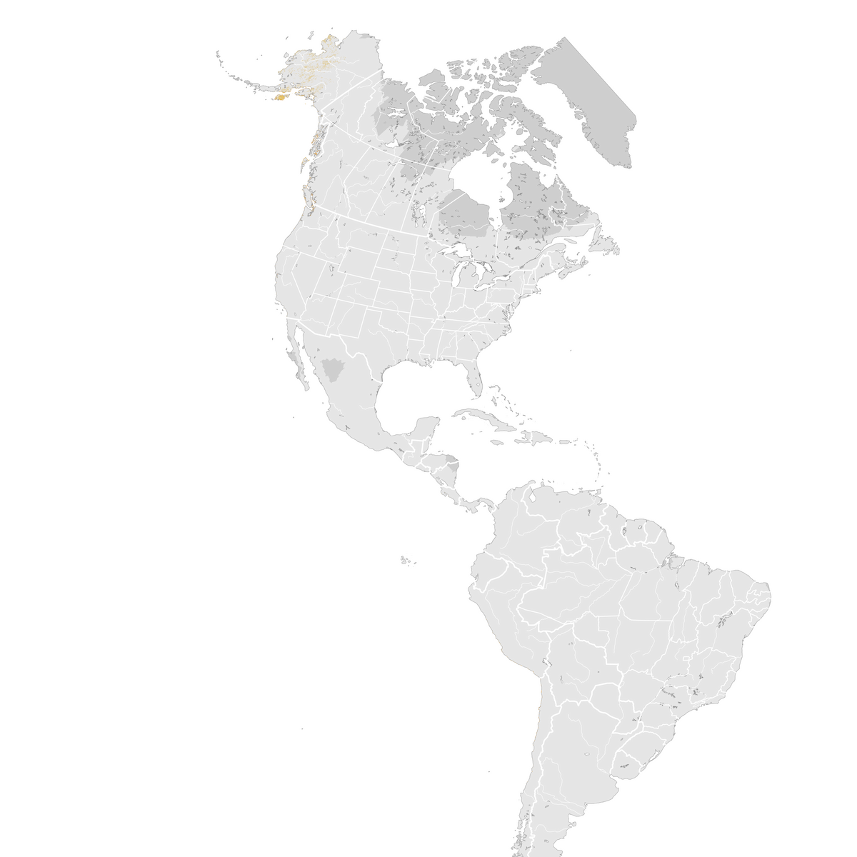 Surfbird - Abundance map: Post-breeding migration - eBird Status and Trends