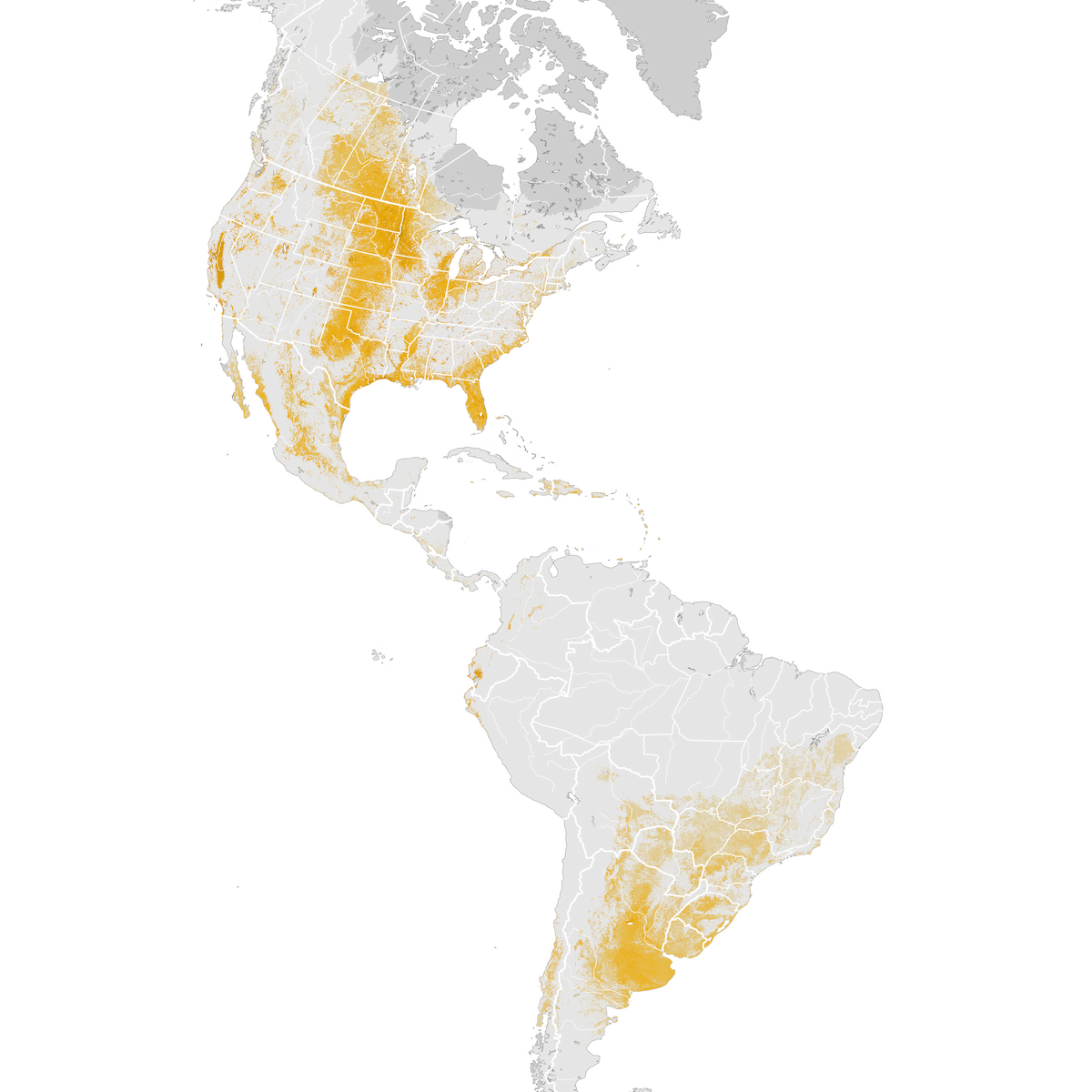 Pied-billed Grebe - Abundance map: Post-breeding migration - eBird ...
