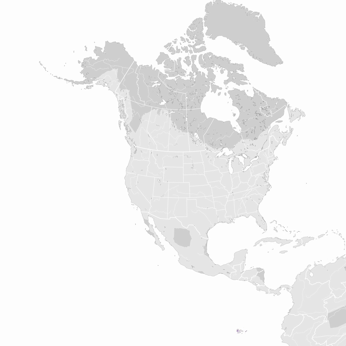 Red-necked Phalarope - Abundance animation - eBird Status and Trends