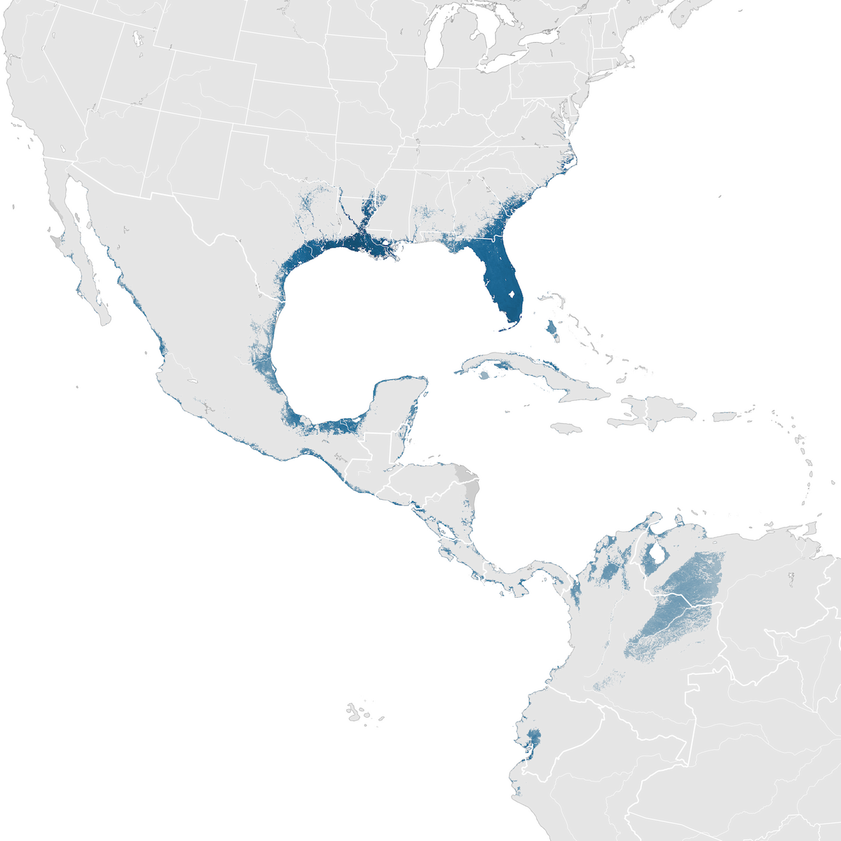 White Ibis - Abundance map: Non-breeding - eBird Status and Trends