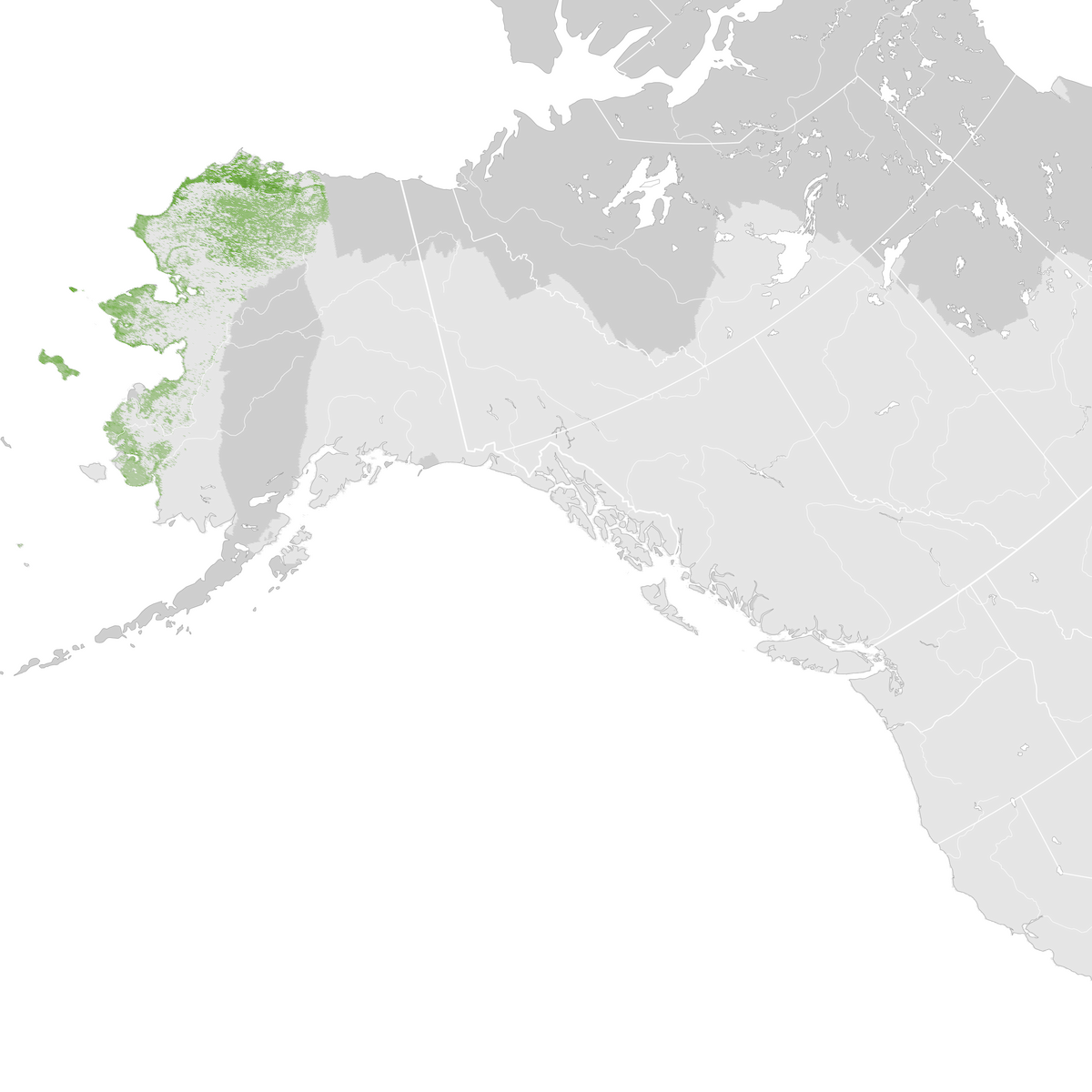 Eastern Yellow Wagtail - Abundance map: Pre-breeding migration - eBird ...