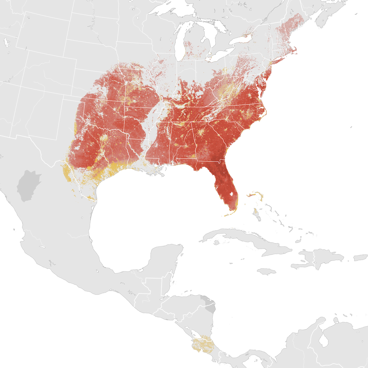 Chuck-will's-widow - Abundance map - eBird Status and Trends