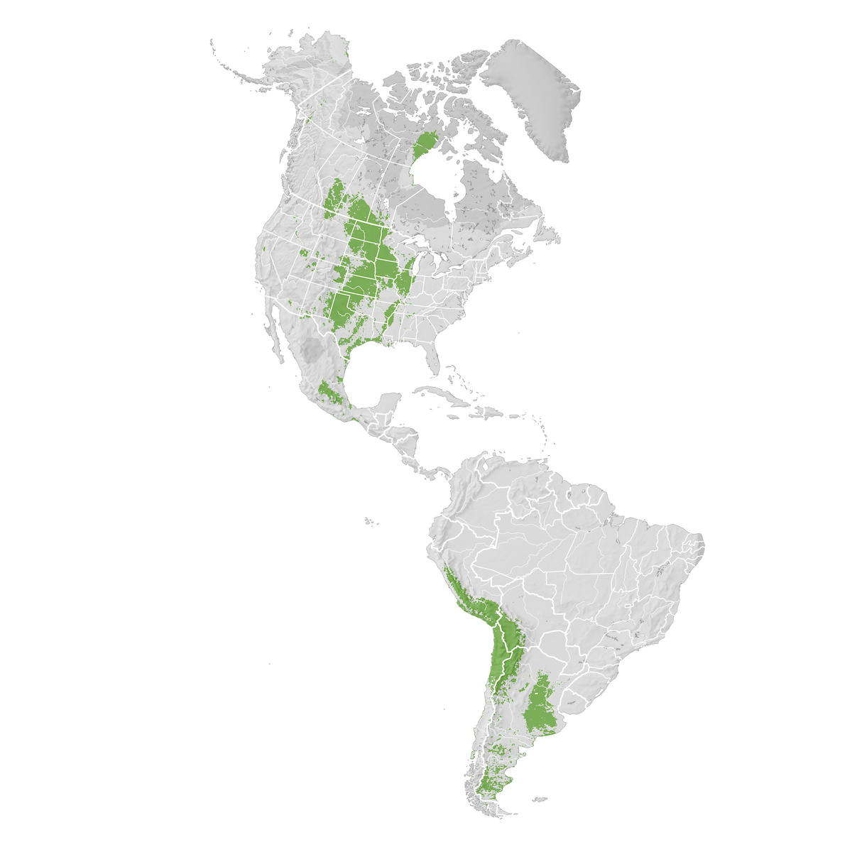 Baird's Sandpiper - Range map: Pre-breeding migration - eBird Status ...
