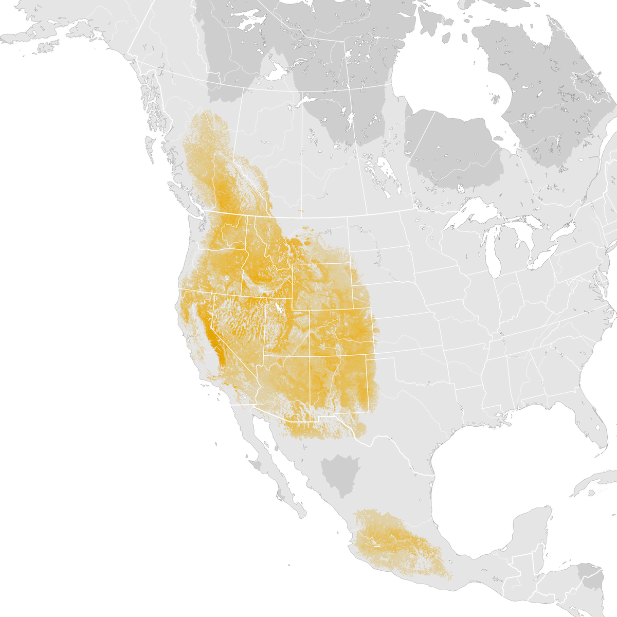 Dusky Flycatcher - Abundance map: Post-breeding migration - eBird ...